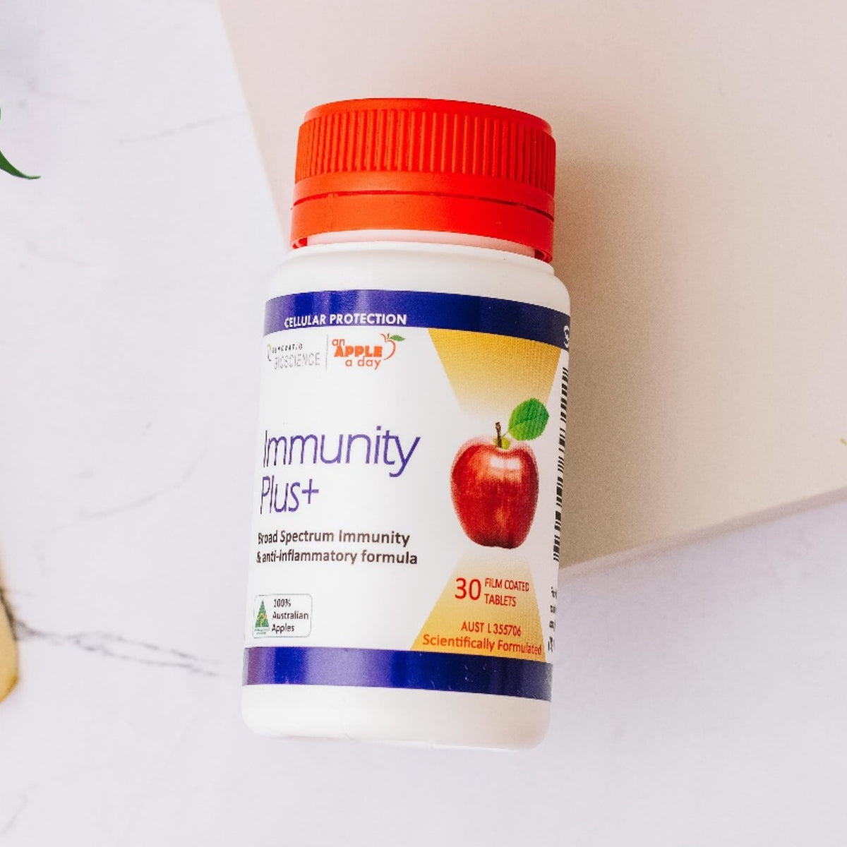 IP-shopifymain_1200x1200.jpg?v=1683006227